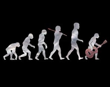 Evolution & Devolution Fret Board Set