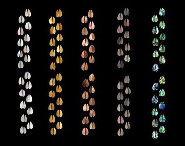 Deer Track Fret Board Inlays