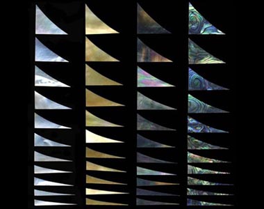 Shark Fin Fret Board Inlay