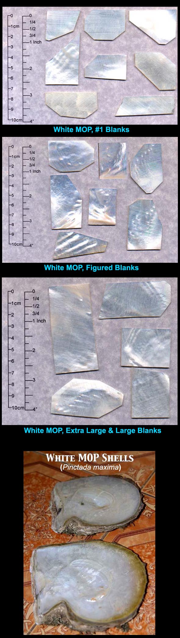 White MOP, #1 Blanks, Priced Per Ounce